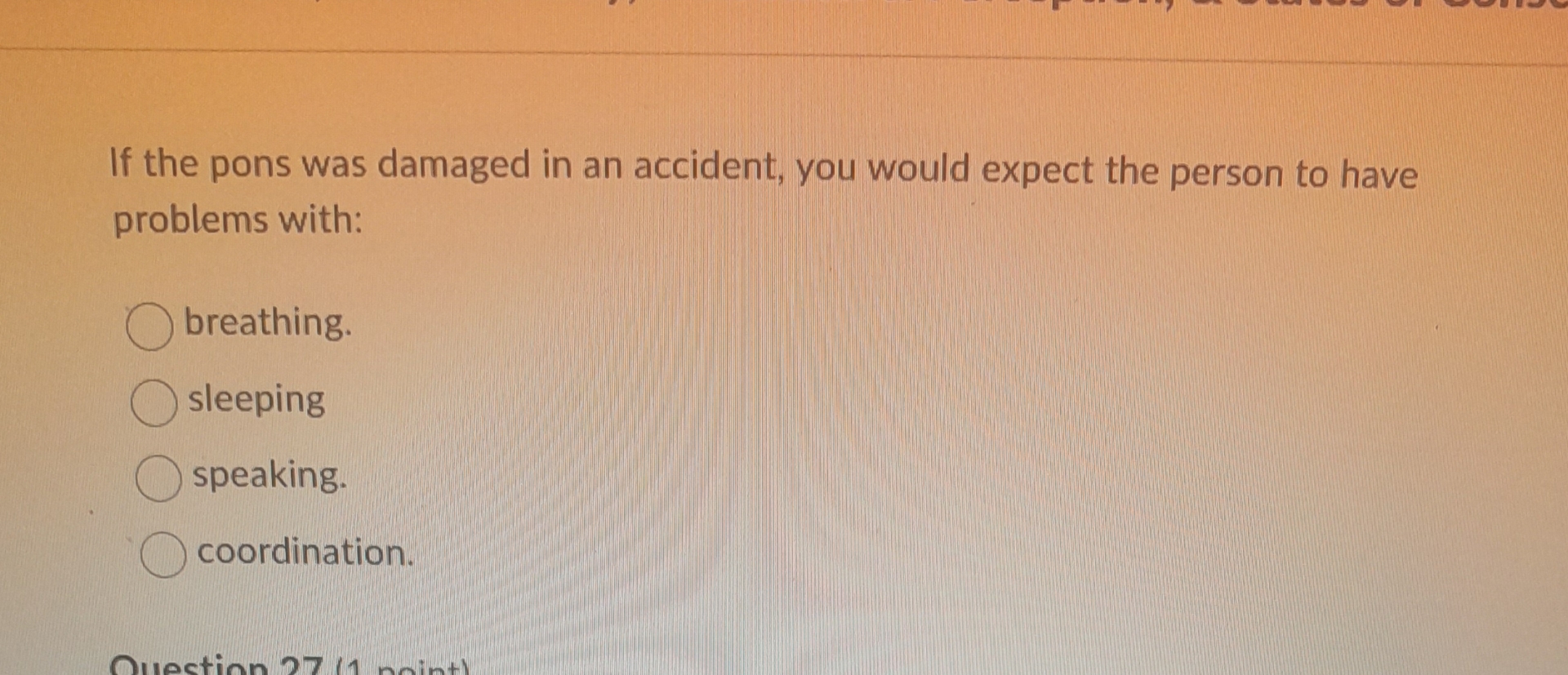 Solved If the pons was damaged in an accident, you would | Chegg.com