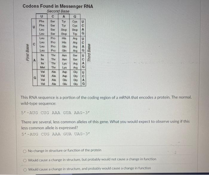 Solved Ser Stop Codons Found in Messenger RNA Second Base U | Chegg.com