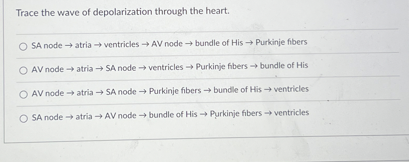 Trace the wave of depolarization through the heart.SA | Chegg.com
