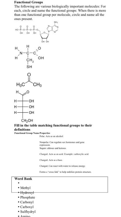 Solved Carbon Skeletons and Functional Groups Name Carbon | Chegg.com