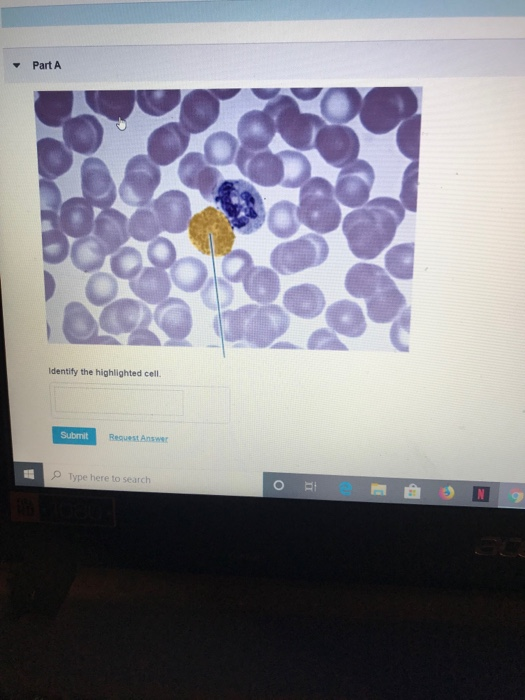 Solved Part A Identify the highlighted cell. Submit Request | Chegg.com