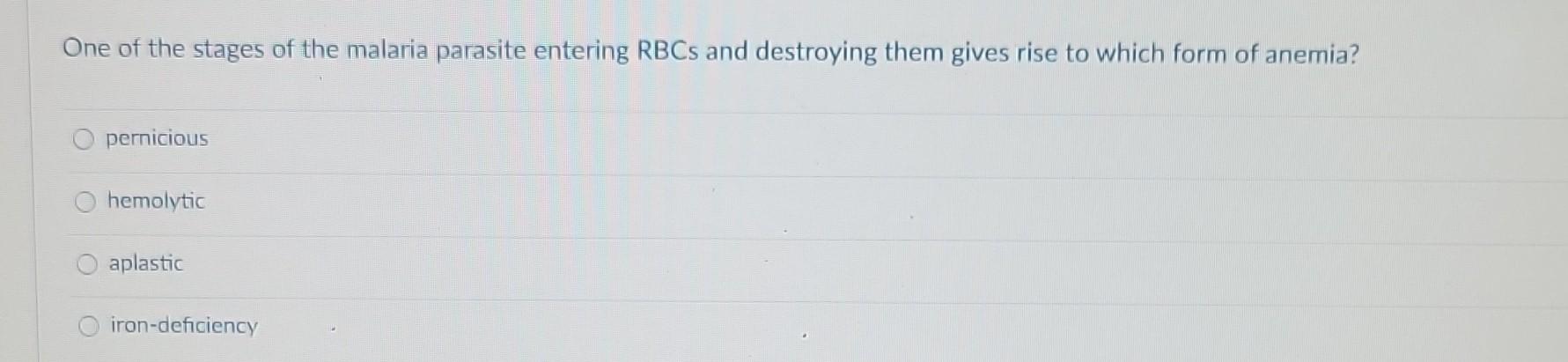 Solved Large, irregular RBCs; multi-segmented | Chegg.com
