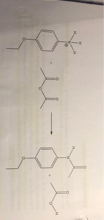 Solved draw the mechanism for phenacetin from p-phenetidine | Chegg.com