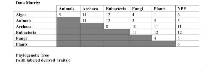Solved Table 1. Molecular and Morphological Characteristics | Chegg.com