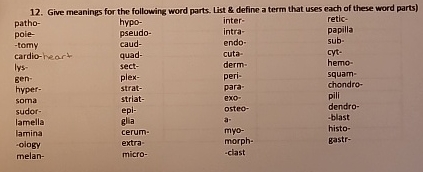 Solved Give meanings for the following word parts. List q | Chegg.com