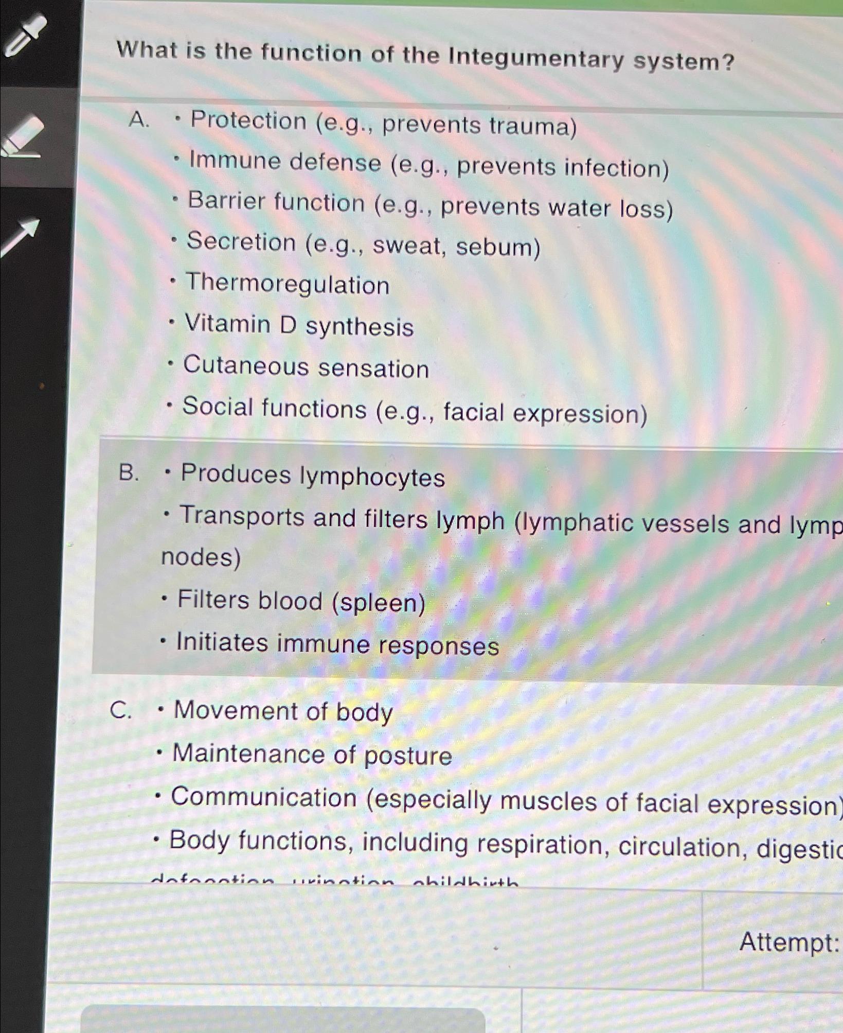 Solved What is the function of the Integumentary system?A. - | Chegg.com