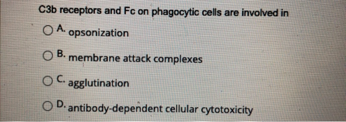 Solved C3b receptors and Fc on phagocytic cells are involved | Chegg.com