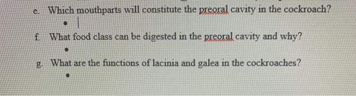 Solved e. Which mouthparts will constitute the preoral | Chegg.com