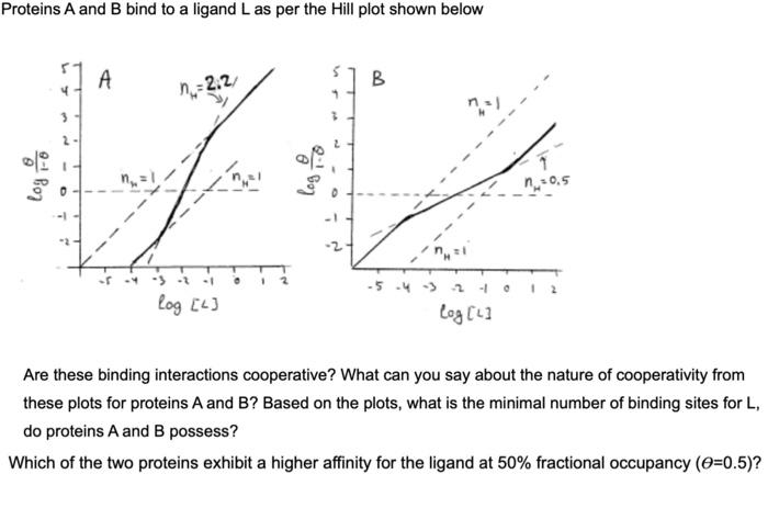 Solved Proteins A and B bind to a ligand L as per the Hill | Chegg.com