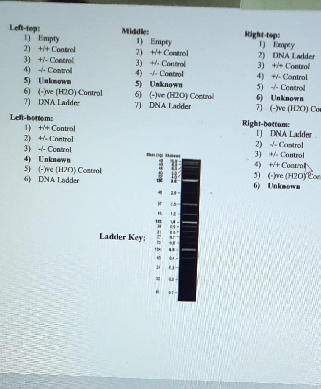 Solved led from Biorad PV92 PCR Informatics Manual, Rev. F) | Chegg.com