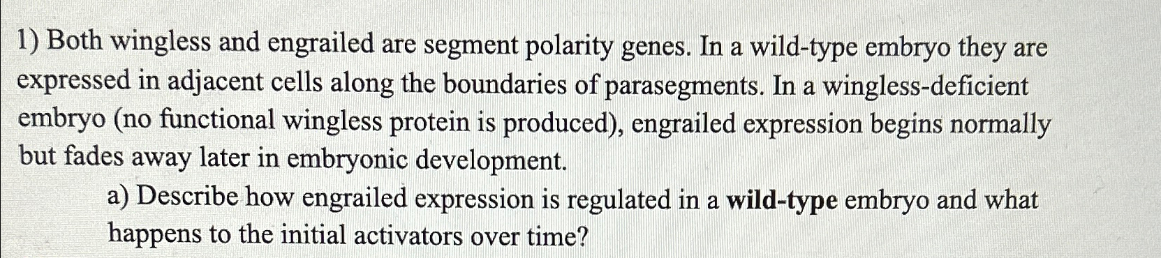Solved Both wingless and engrailed are segment polarity | Chegg.com