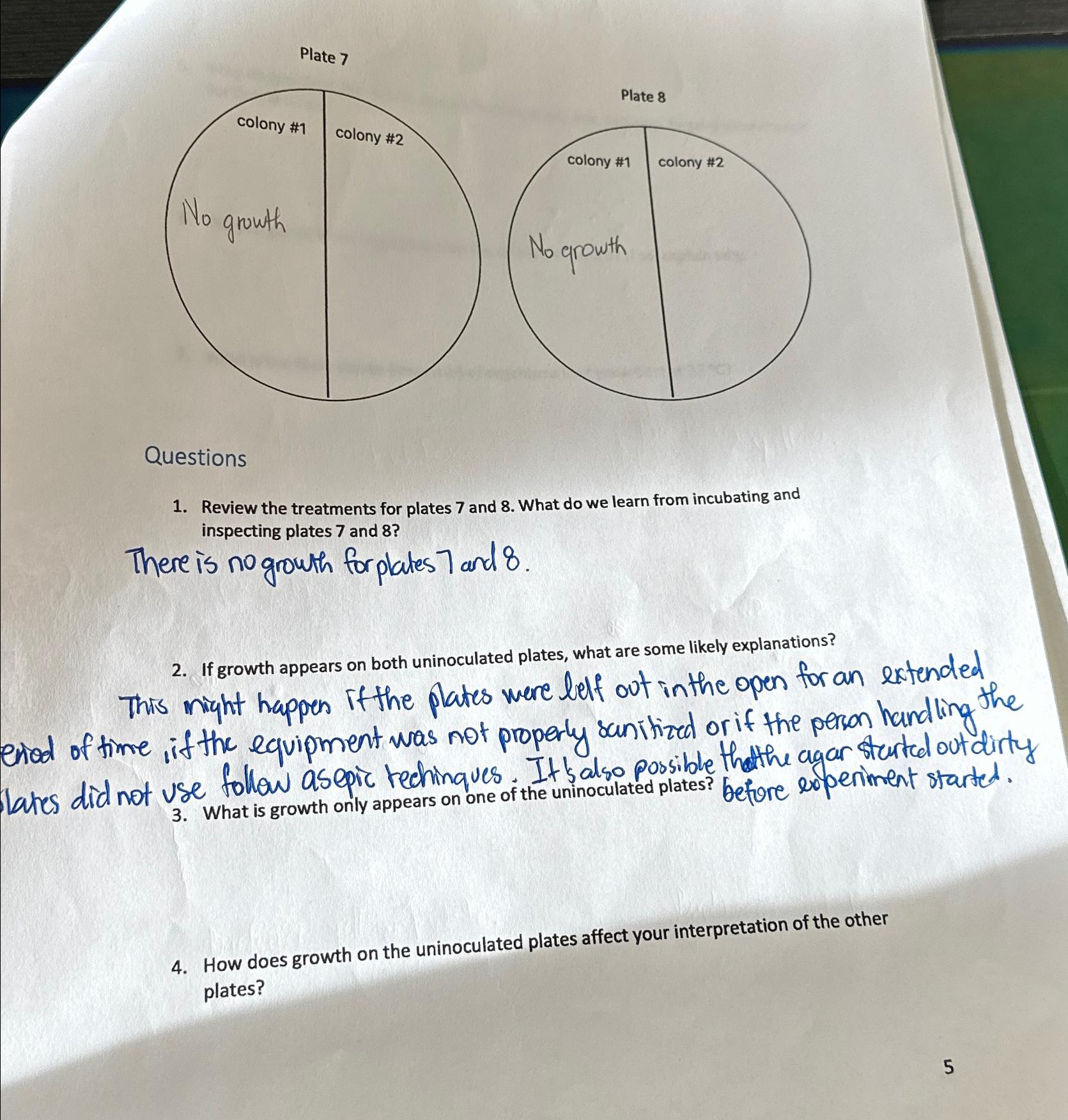 Solved QuestionsReview the treatments for plates 7 ﻿and 8 . | Chegg.com