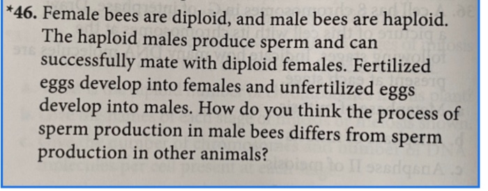 Solved *46. Female bees are diploid, and male bees are | Chegg.com