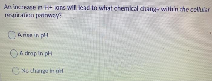 Solved An increase in H+ ions will lead to what chemical | Chegg.com