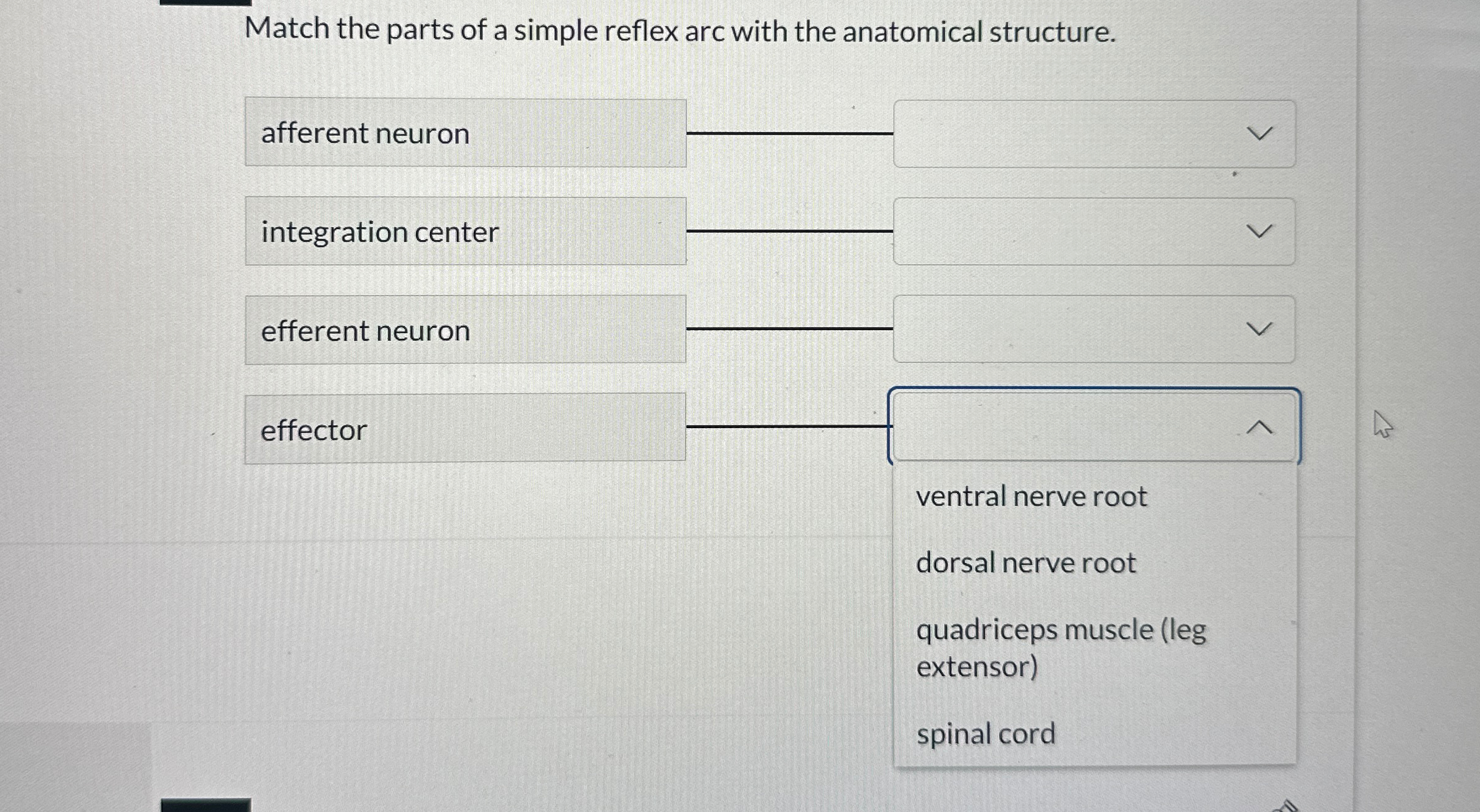 Solved Match the parts of a simple reflex arc with the | Chegg.com