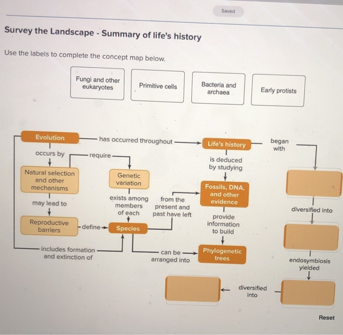 Solved Saved Survey the Landscape - Summary of life's | Chegg.com