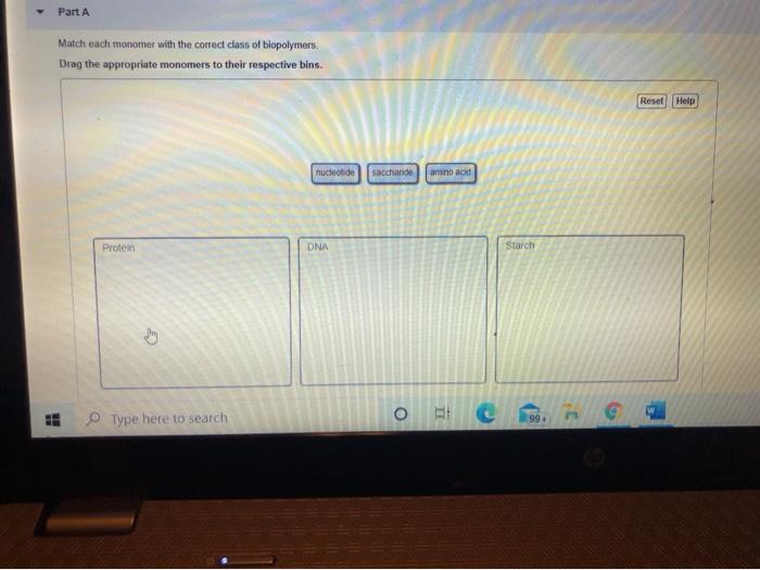 Solved Part A Match each monomer with the correct class of | Chegg.com