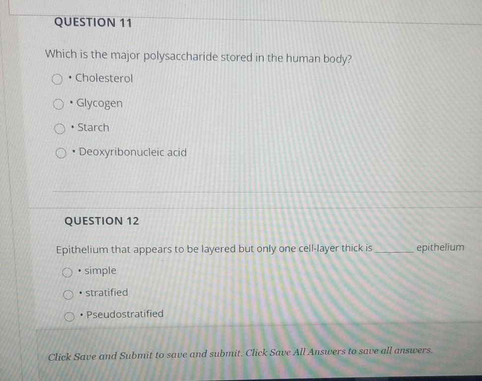 Solved QUESTION 11 Which is the major polysaccharide stored | Chegg.com