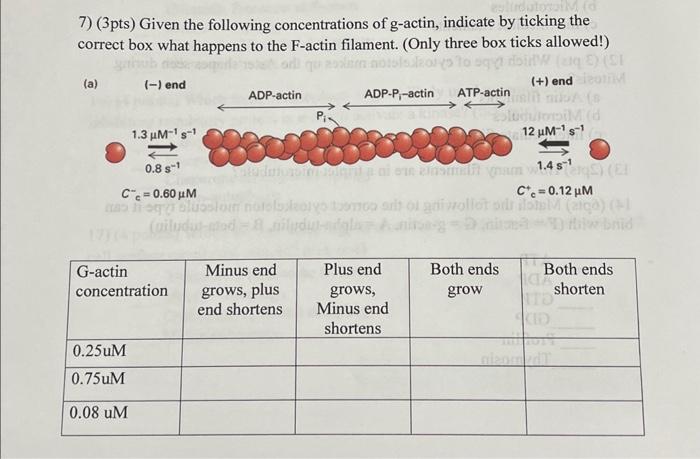 7) (3pts) Given the following concentrations of | Chegg.com