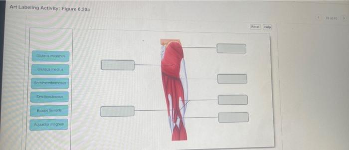 Solved Chapter 6 Matehing Quostion 15.25Art Labeling | Chegg.com