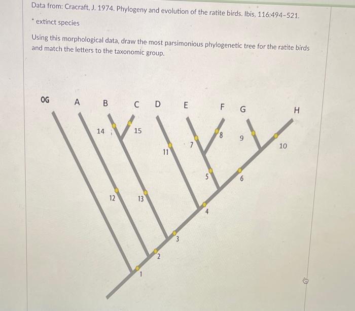 Solved The following is a character matrix for the various | Chegg.com