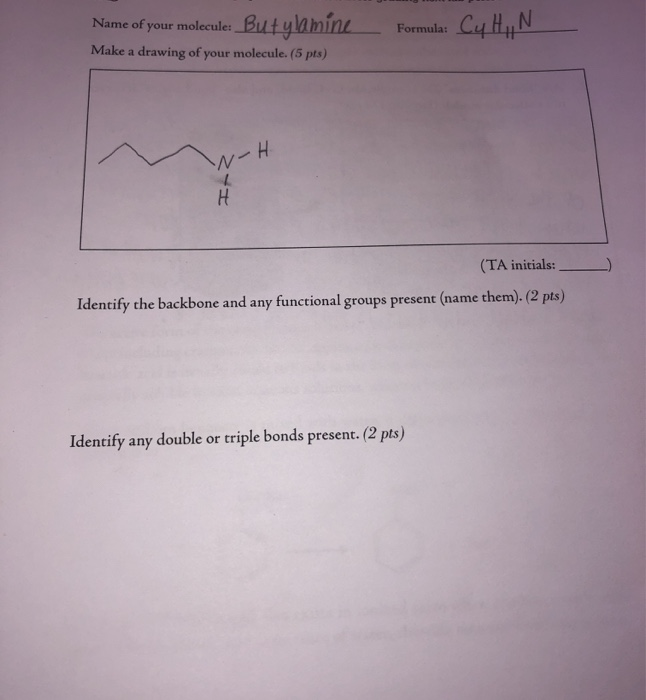 Solved Name of your molecule: Butylamine Make a drawing of | Chegg.com