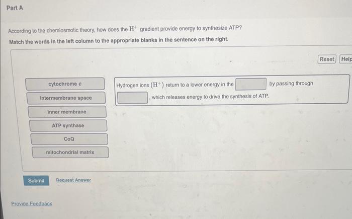 Solved According to the chemiosmotic theory, how does the | Chegg.com