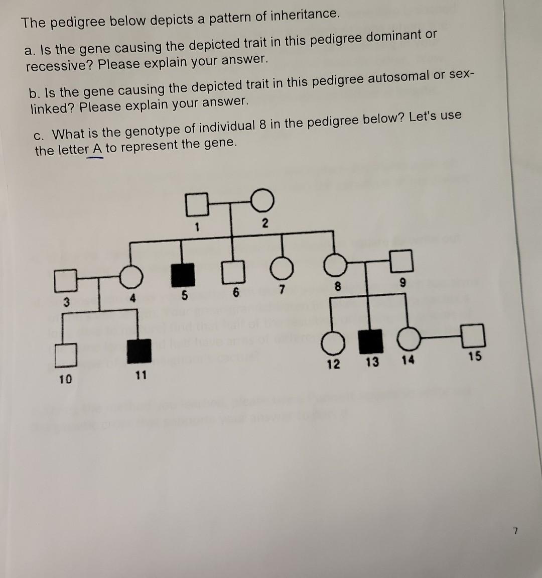 Solved The pedigree below depicts a pattern of inheritance. | Chegg.com