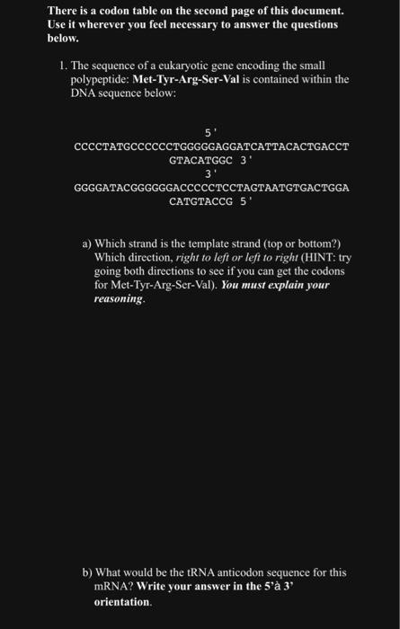 Solved There is a codon table on the second page of this | Chegg.com