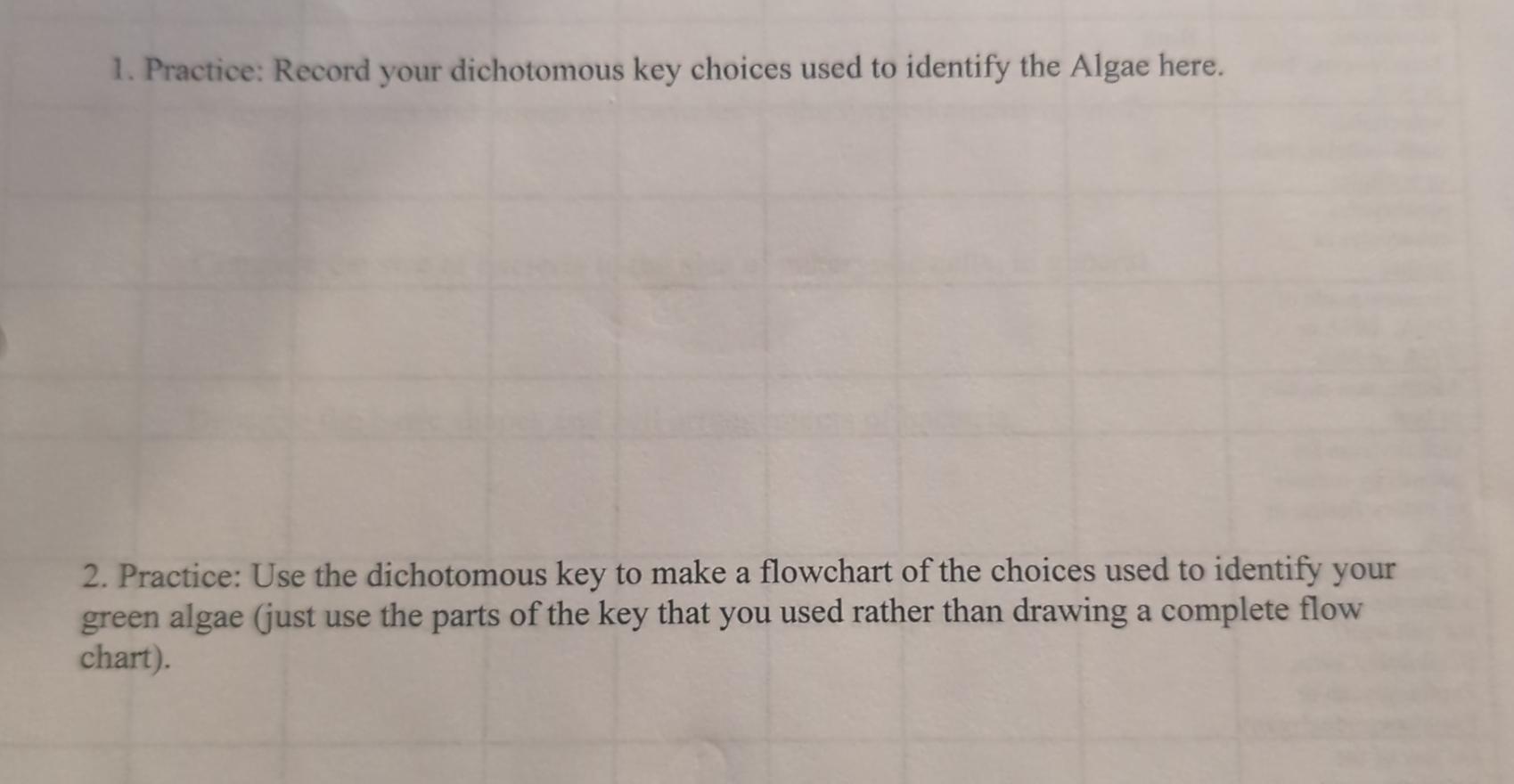 Solved Practice: Record your dichotomous key choices used to | Chegg.com