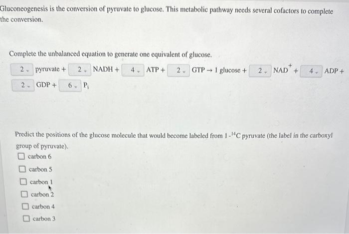 Solved Gluconeogenesis is the conversion of pyruvate to | Chegg.com