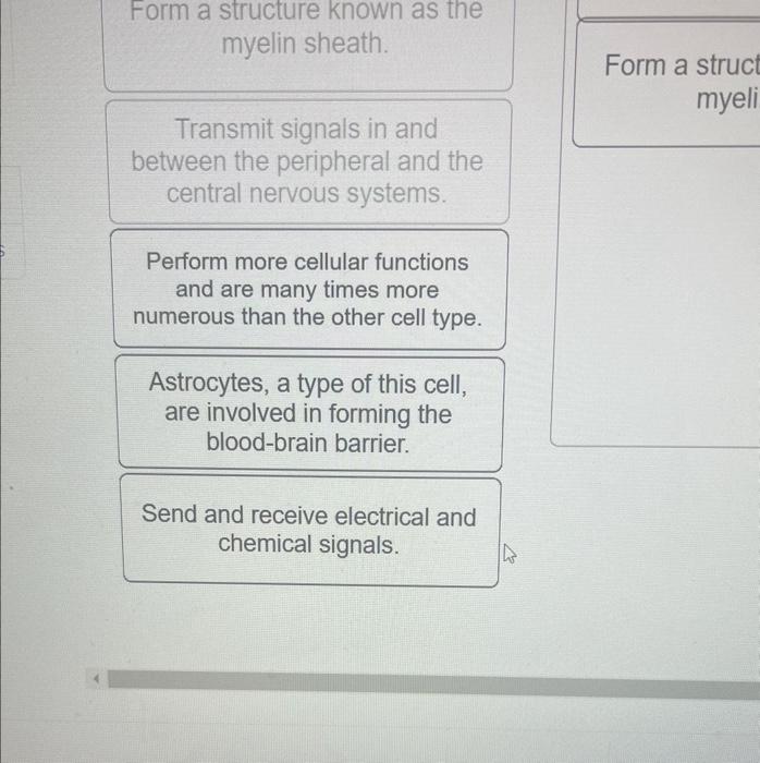 Solved Categorize each statement or characteristic below as | Chegg.com