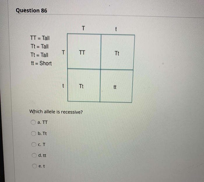 Solved Question 86 T -- TT = Tall Tt = Tall Tt = Tall tt = | Chegg.com