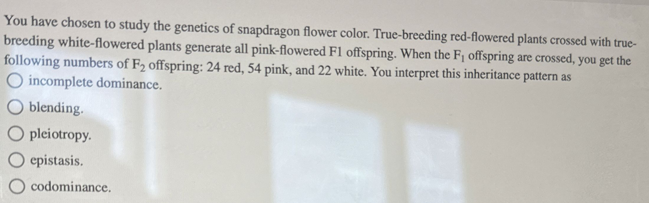 Solved You have chosen to study the genetics of snapdragon | Chegg.com