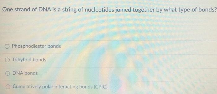 Solved One strand of DNA is a string of nucleotides joined | Chegg.com