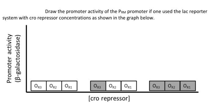 Solved Draw the promoter activity of the PRM promoter if one | Chegg.com