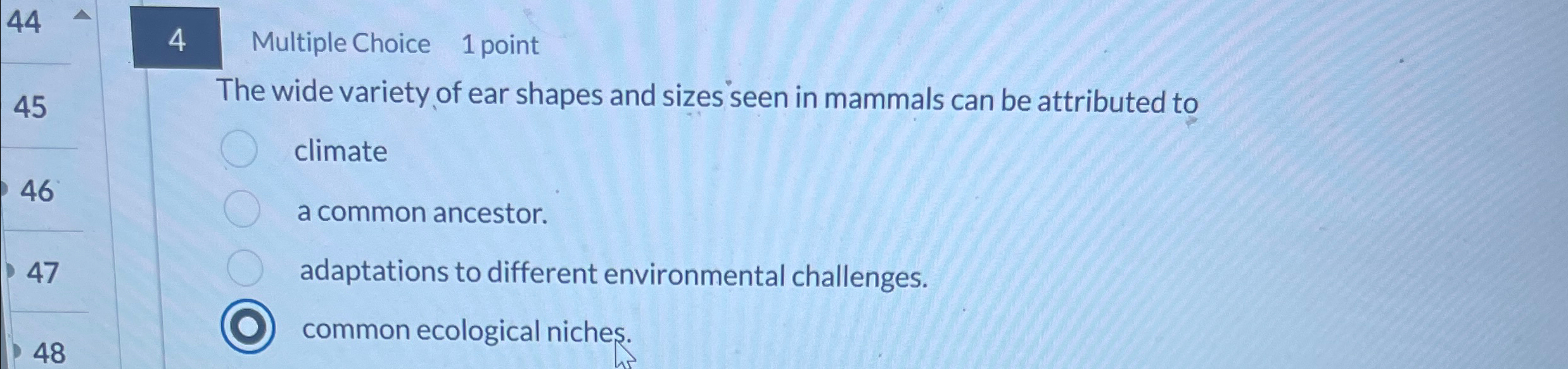 Solved 4Multiple Choice1 ﻿point45The wide variety of ear | Chegg.com