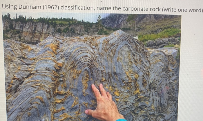 Solved Using Dunham (1962) classification, name the | Chegg.com