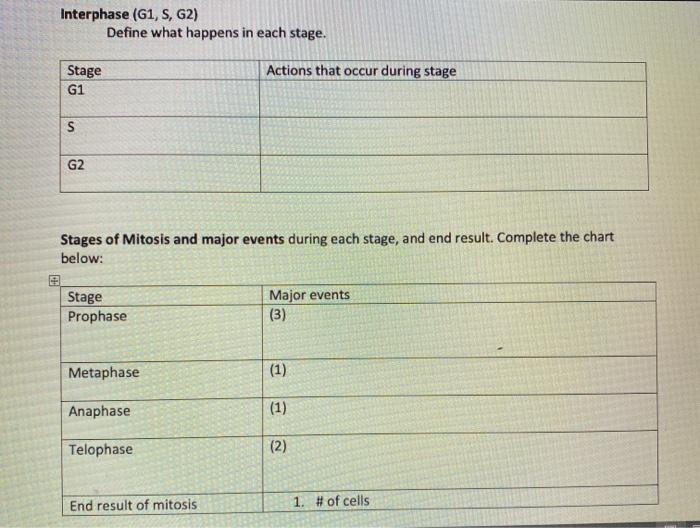 Solved Interphase (G1, S, G2) Define what happens in each | Chegg.com