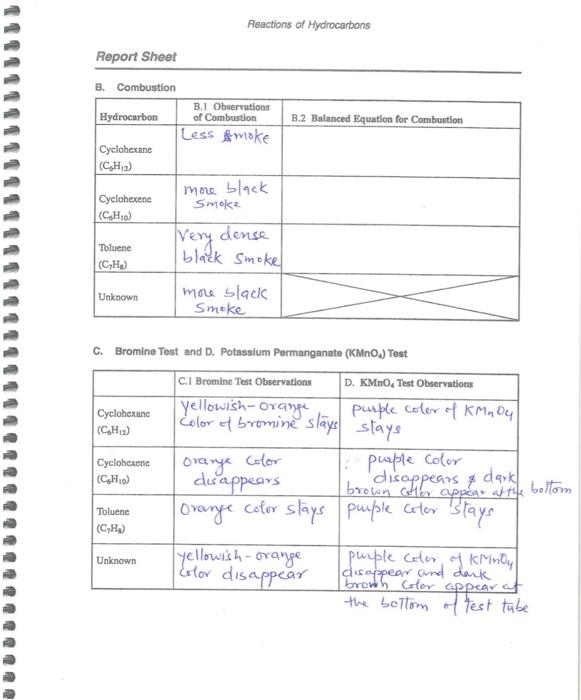 Solved Report Sheet Name Date Section Instructor Team | Chegg.com