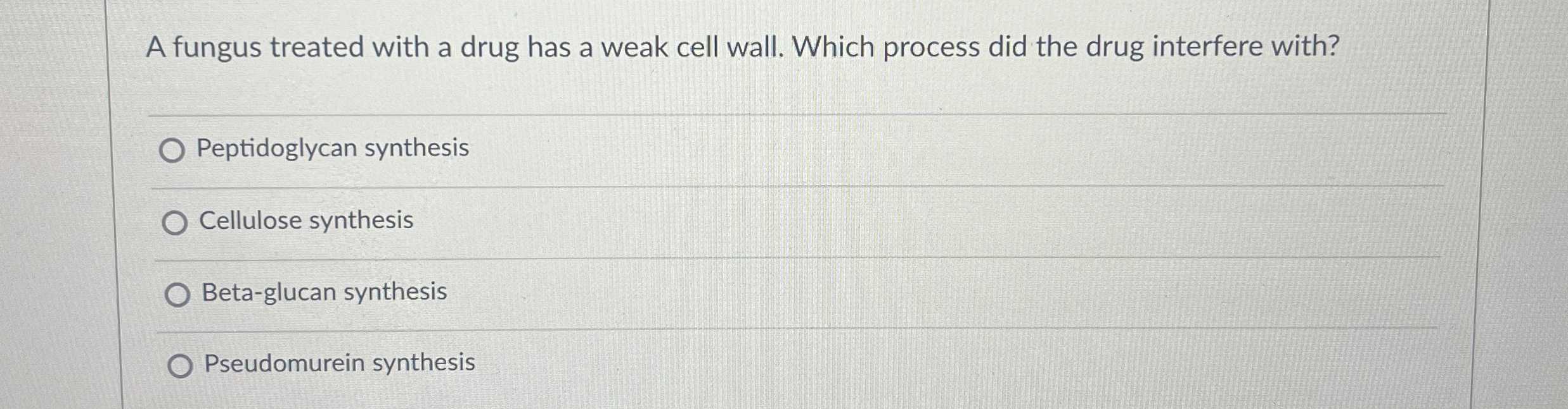 Solved A fungus treated with a drug has a weak cell wall. | Chegg.com