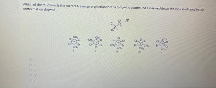 Solved Which of the following is the correct Newman | Chegg.com