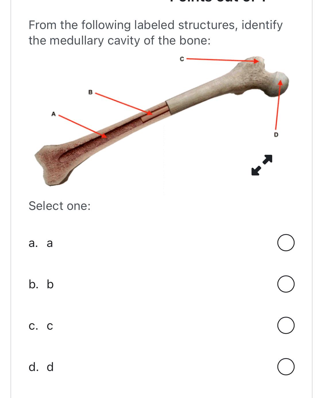 Solved From the following labeled structures, identify the | Chegg.com