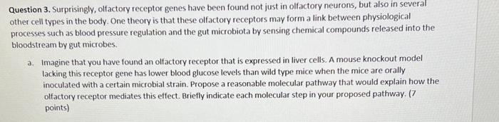 Solved Question 3. Surprisingly, olfactory receptor genes | Chegg.com