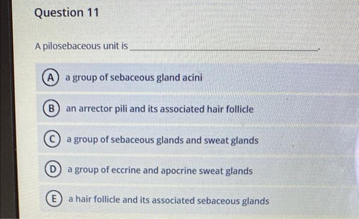 Solved Question 11 A pilosebaceous unit is A a group of | Chegg.com