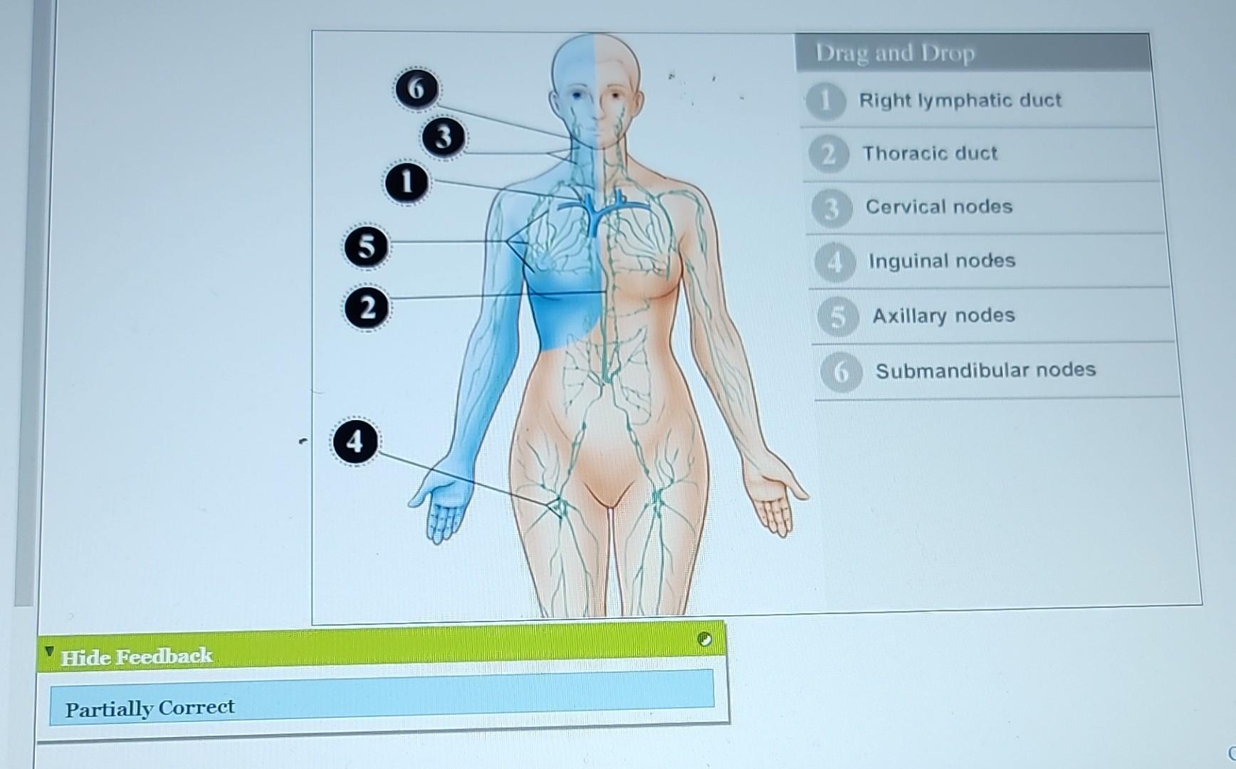 Solved partially correct. Please fix it. | Chegg.com