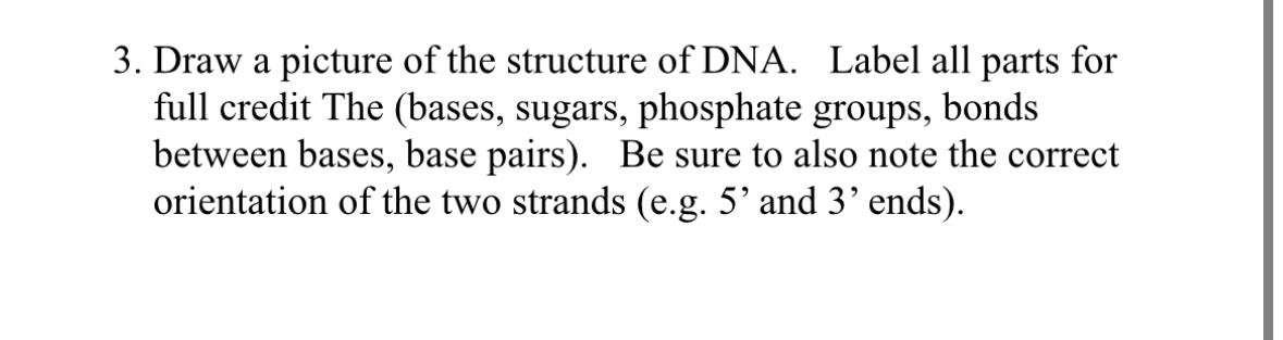 Solved Draw a picture of the structure of DNA. Label all | Chegg.com