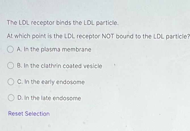 Solved The LDL receptor binds the LDL particle. At which | Chegg.com