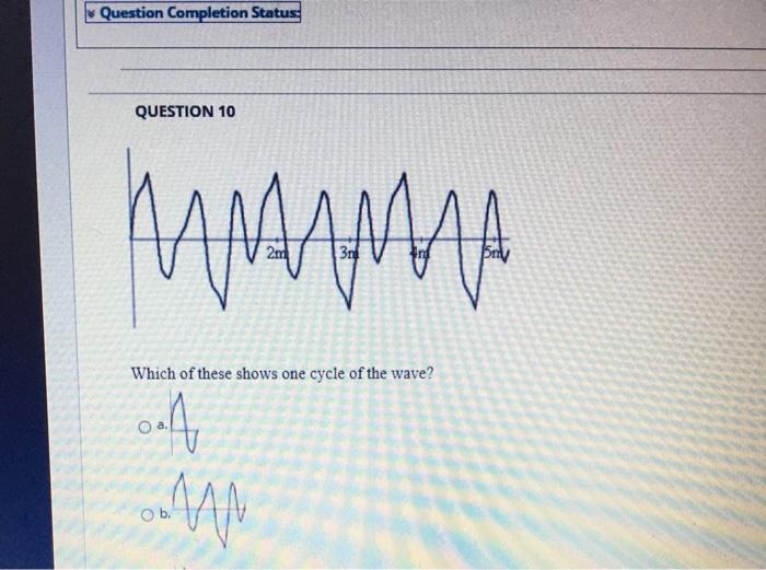 Solved Question Completion Status: QUESTION 10 ААААААА Which | Chegg.com