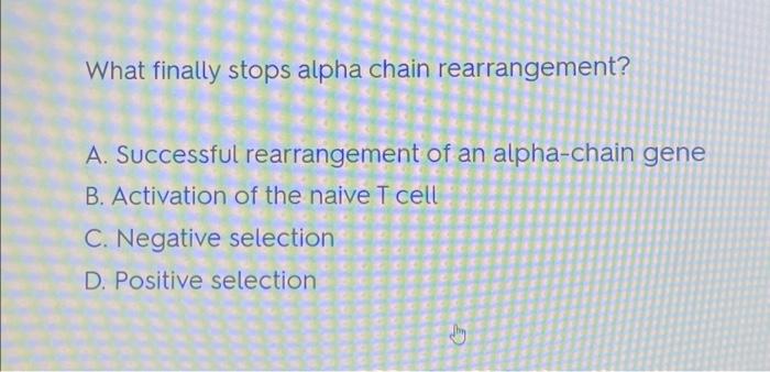 Solved What finally stops alpha chain rearrangement? A. | Chegg.com